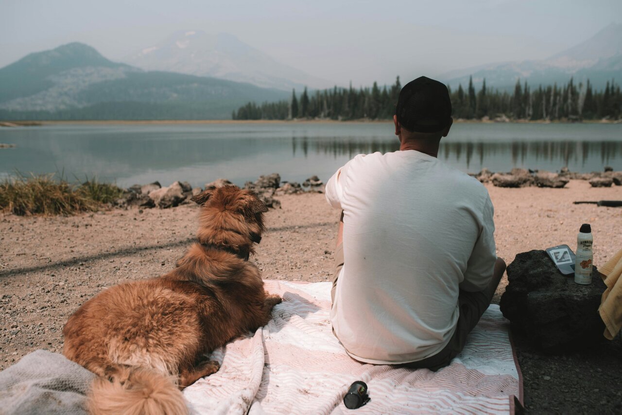 Oldest-living dogs reveal potential key to fighting frailty