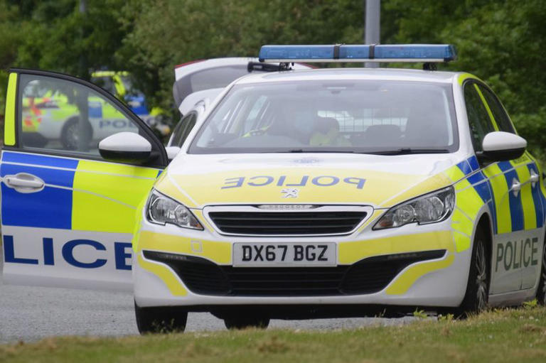 Sex offender 'seen handing out gifts at school Christmas fair'