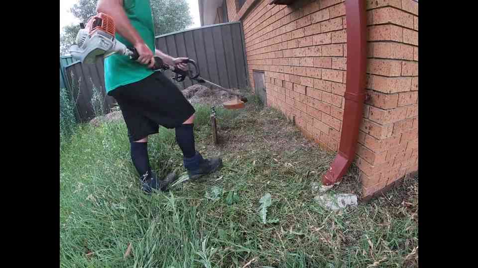 How a Rover Push Mower Handles Peak Grass Growth