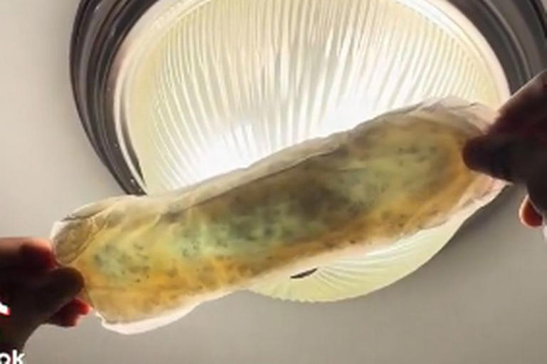 Real reason Always brand period pads look like they have 'mold'