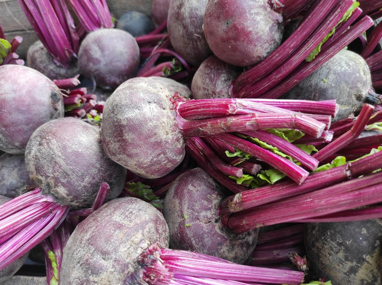 Beetroot for Pregnancy: The Superfood That Every Expecting Mom Needs!
