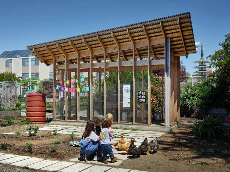 How They Pulled It Off: An Architectural Chicken Coop in a San ...