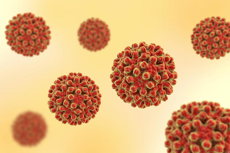 Hepatitis B Explained: Key Facts About Transmission, Symptoms, and ...