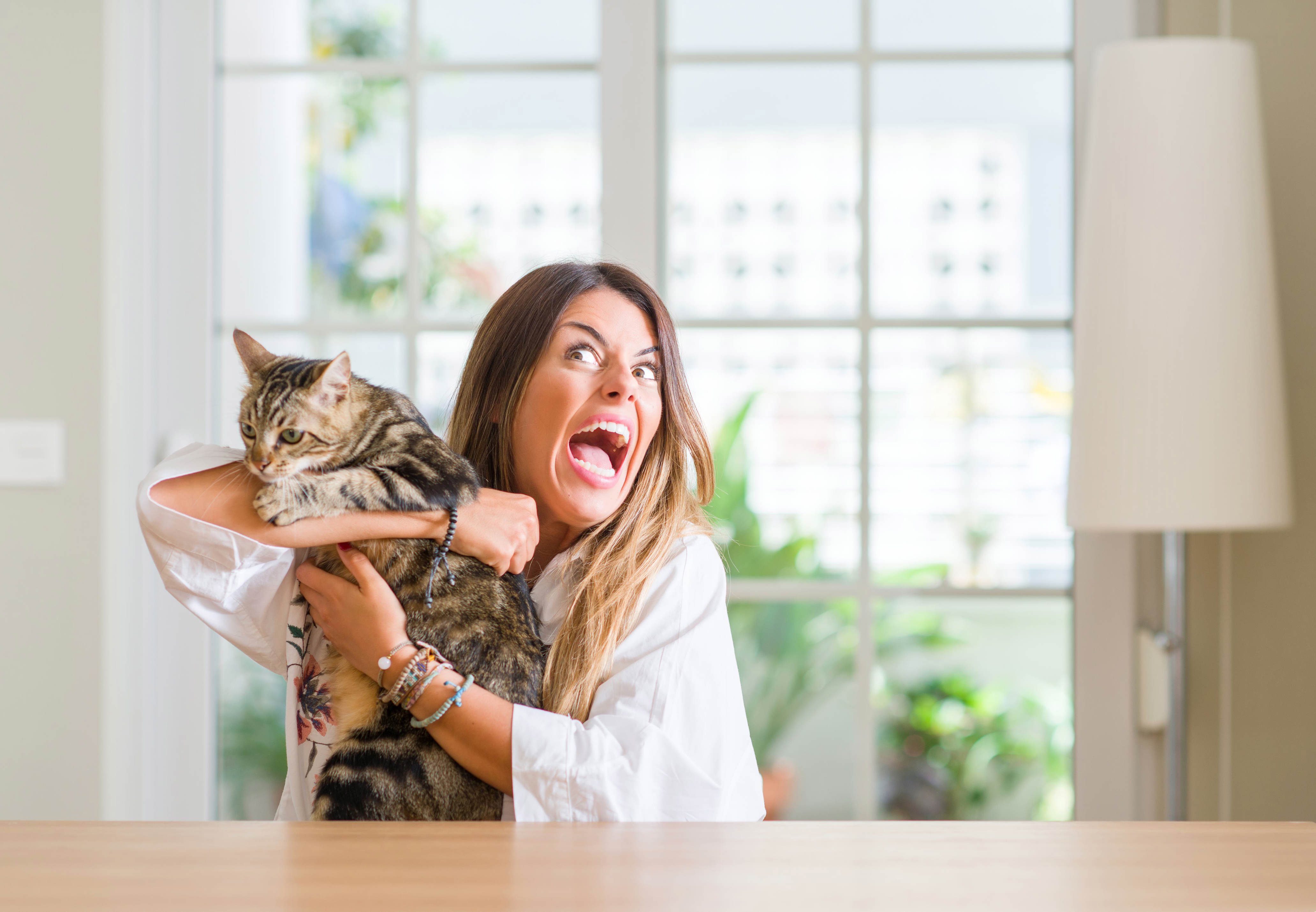 Shock as Gen Z cat owner wakes up to “face smeared with blood”