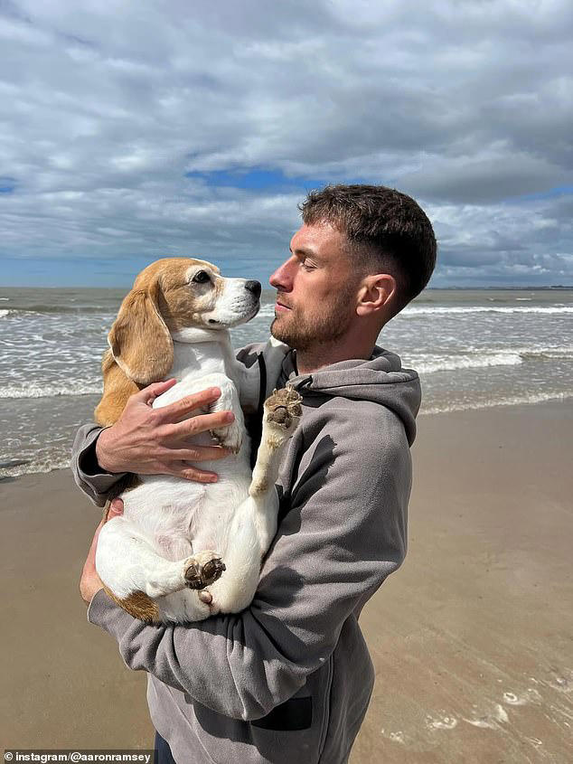Aaron Ramsey DOUBLES reward for his beloved dog after it went missing in Mexico earlier this month