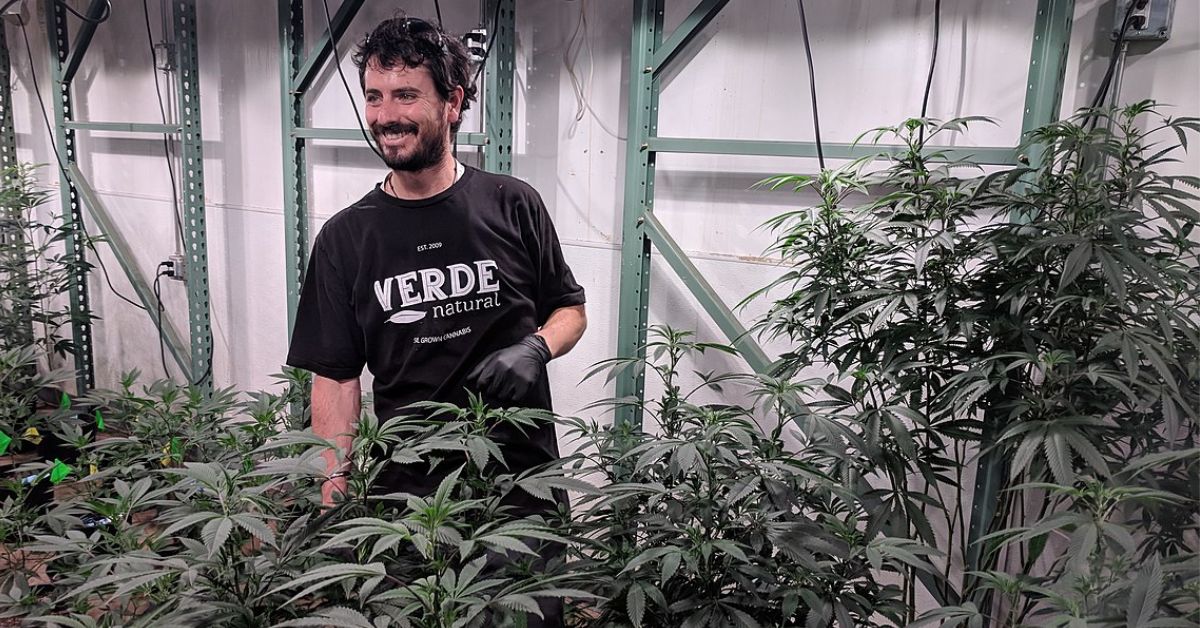 10 Banned Plants That Look Harmless But Cause Real Damage