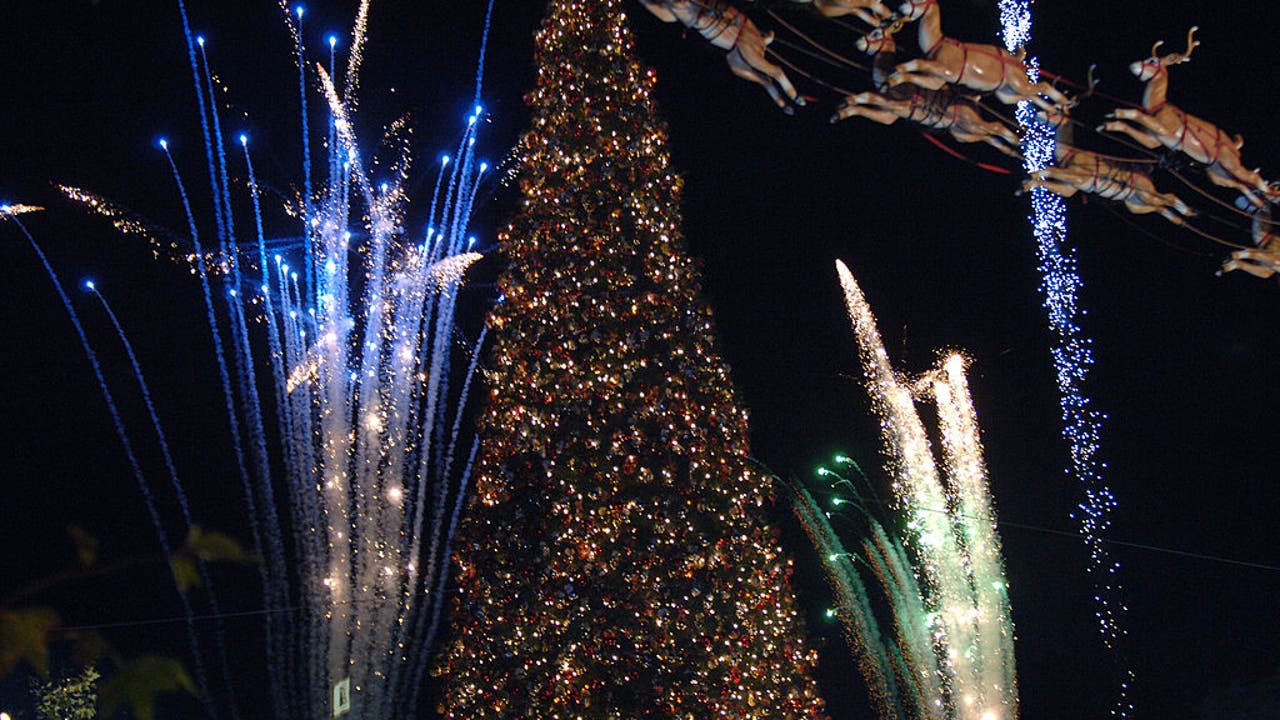 The Grove's iconic Christmas tree arrives ahead of annual tree lighting ...