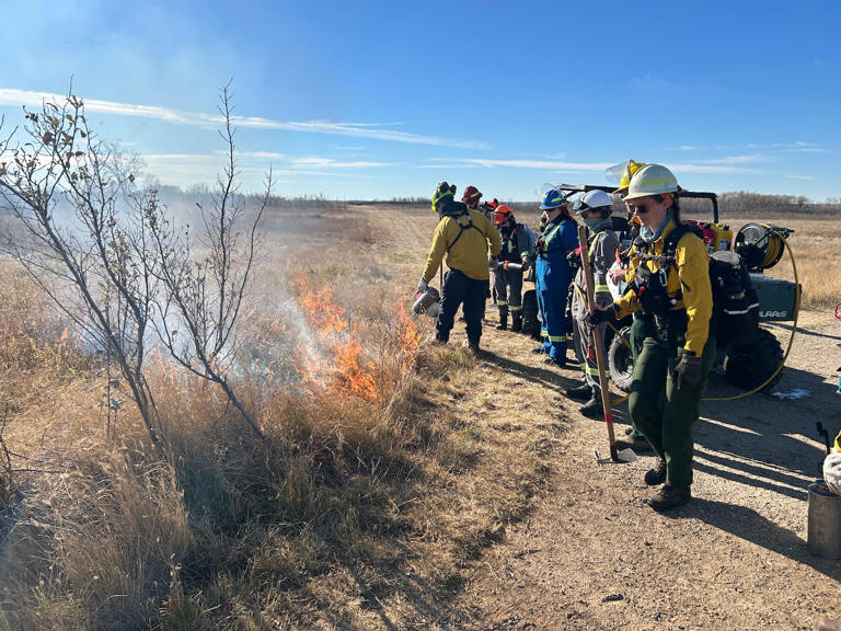 Good burn: Prescribed fire is medicine for Sask. grasslands