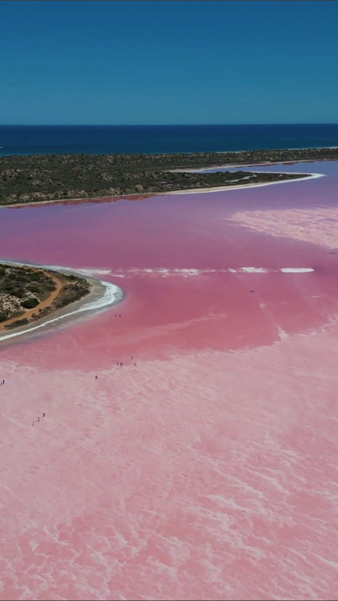 Australia's Hutt Lagoon: Drone Views of a Pink Salt Lake Marvel.