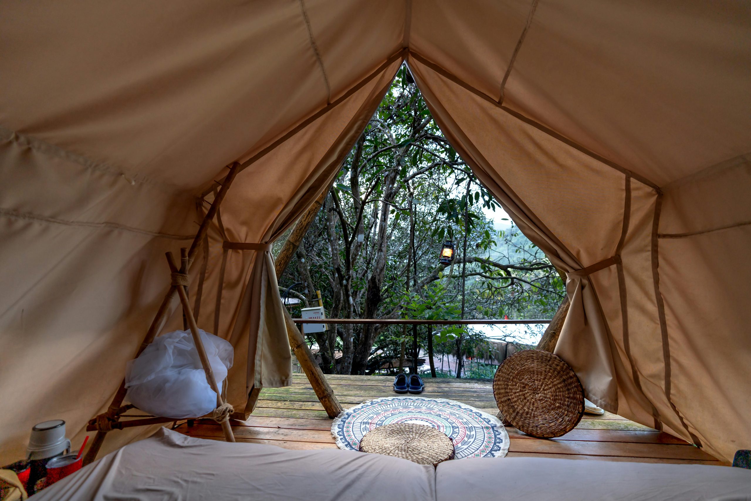 12 Wild Materials That Can Do More Than You Think