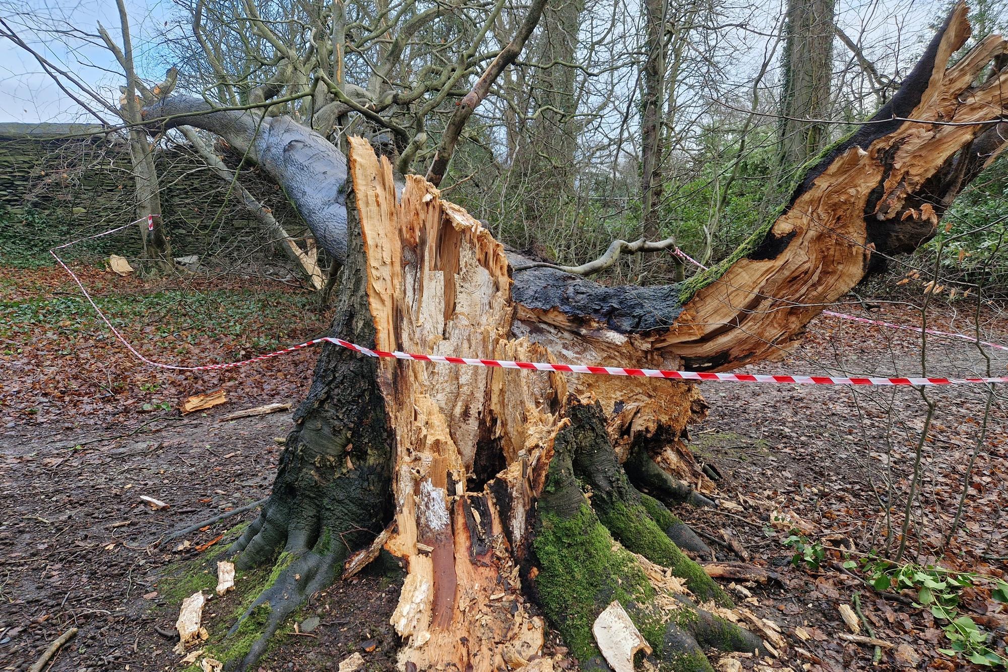 Wall pulverised by Storm Éowyn repaired in Derry’s St. Columb’s Park