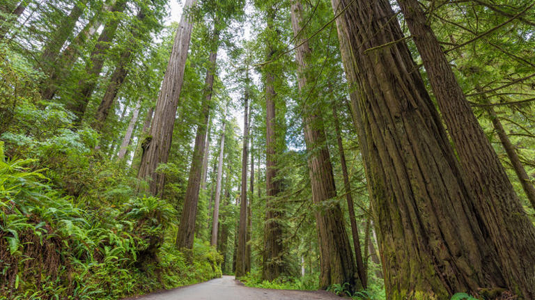 This Coastal California City Is Home To Scenic Beaches, Parks ...