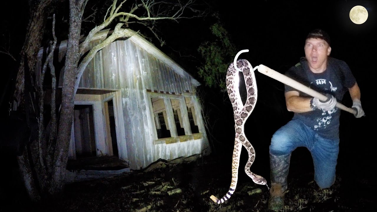 Texas metal detecting: One man’s trash, another man’s snake bite ...