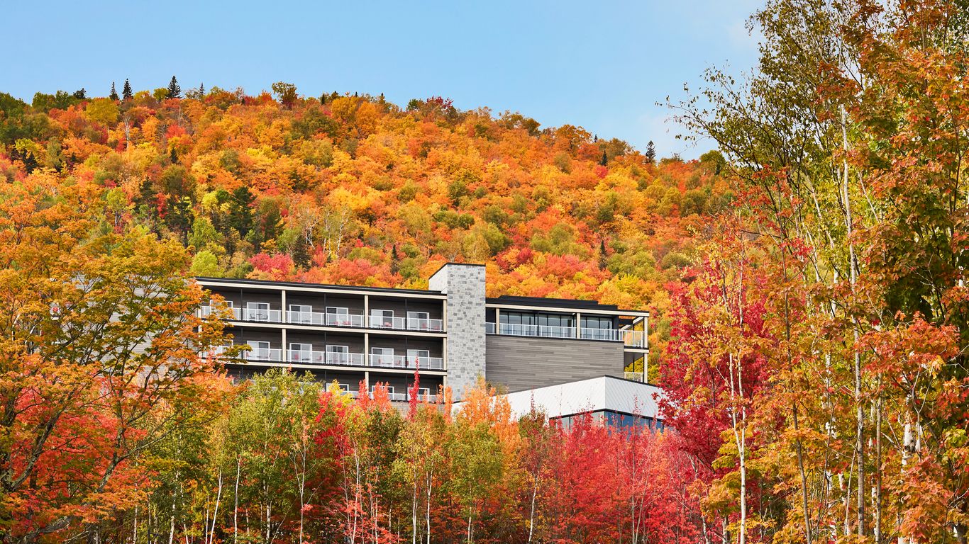 New Hotel Brands Debut, US Demand Continues Slump: October's Top Hotel ...
