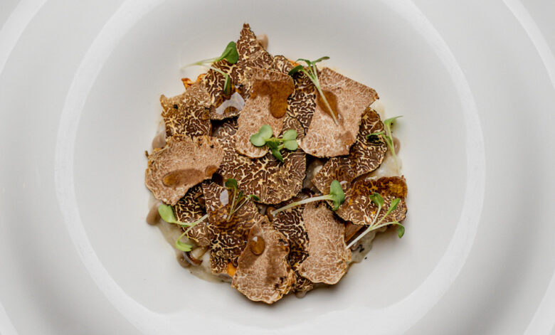 Trufas e cogumelos são as estrelas do Taste & Toast Fest 2025 com ...