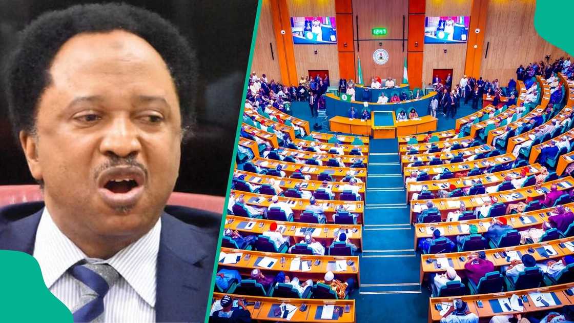 Shehu Sani reacts as demand for new state creation deepens 1year before ...