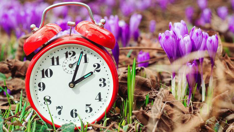 Lock the clock: Here's where Indiana stands on making daylight saving ...