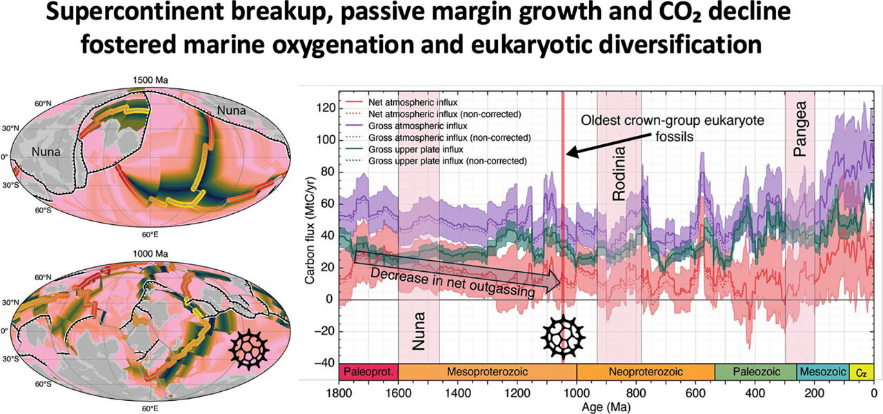 Earth's 'boring billion years' created the conditions for complex life ...