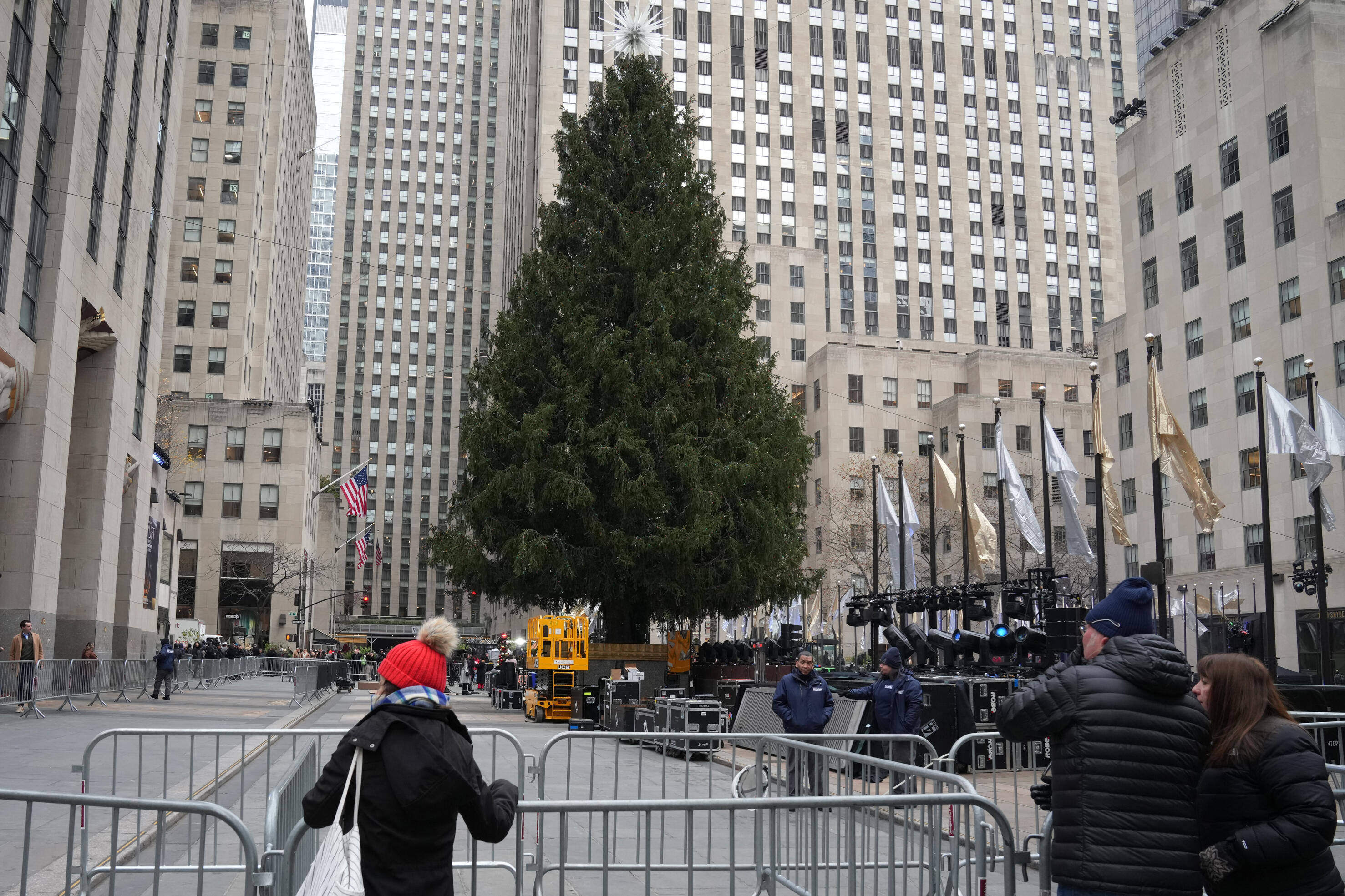 Rockefeller Center Christmas Tree Will Come From East Greenbush
