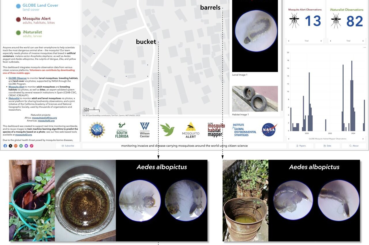 AI and citizen science reveal potential first detection of invasive ...