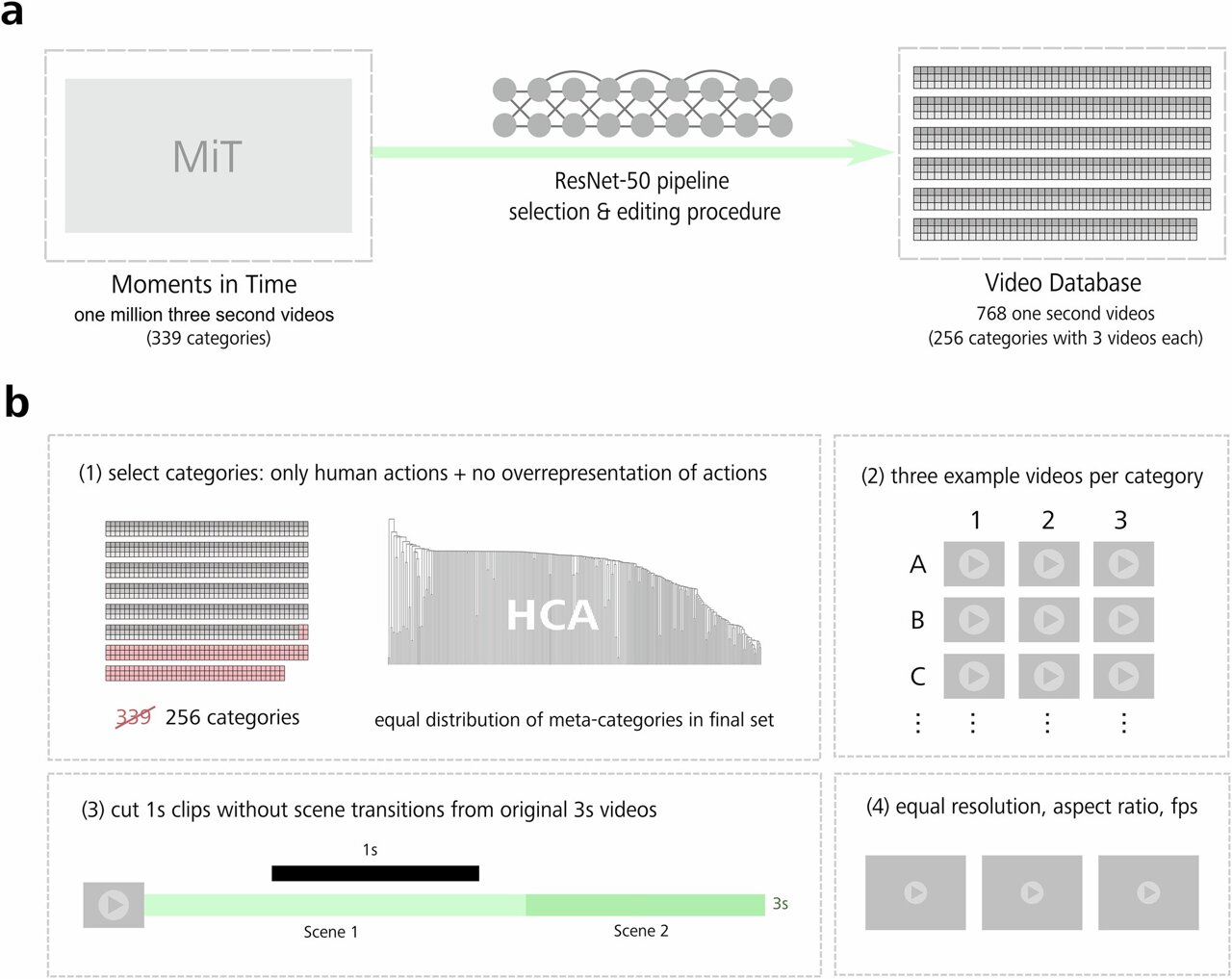 How our brain understands human actions