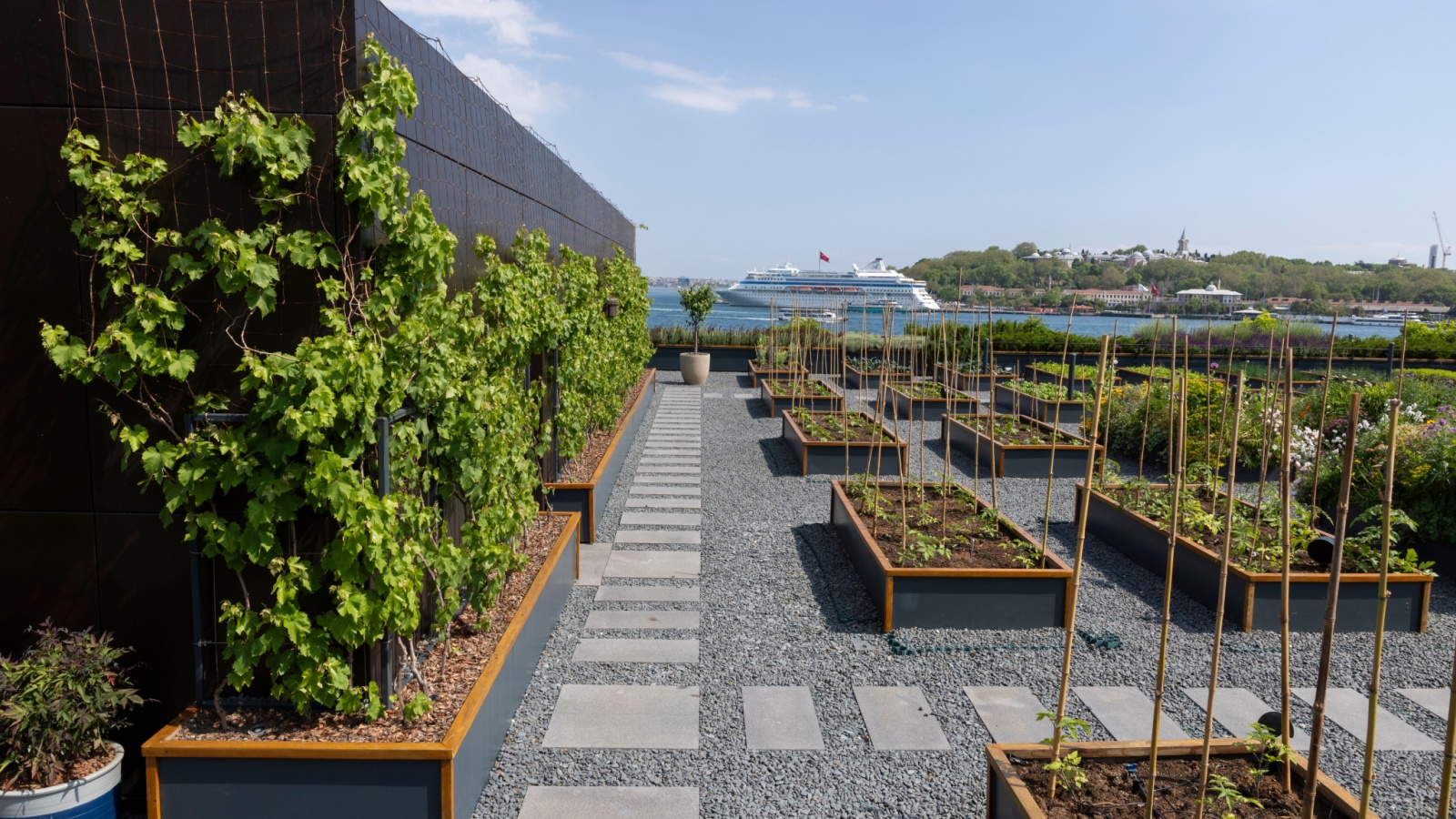 Urban rooftop garden farms to tour and taste this fall