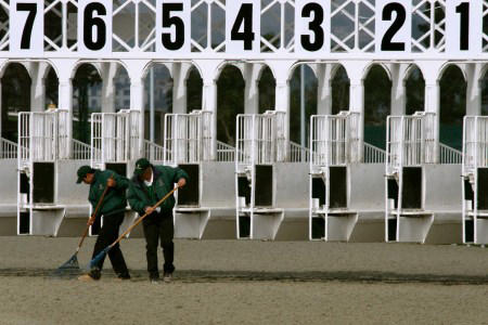 Report Reveals a Grim Picture of Australian Horse Racing