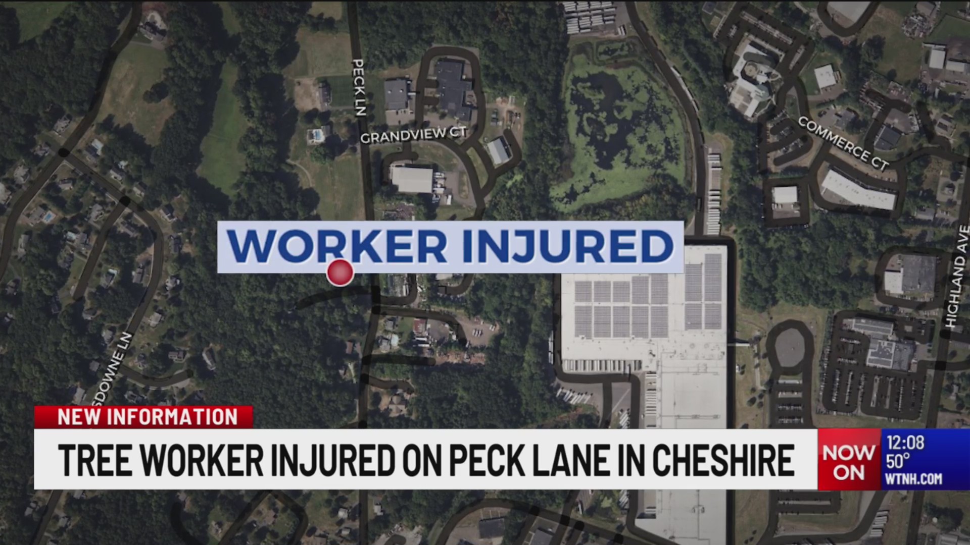 Police: Worker hospitalized after being hit by falling tree in Cheshire