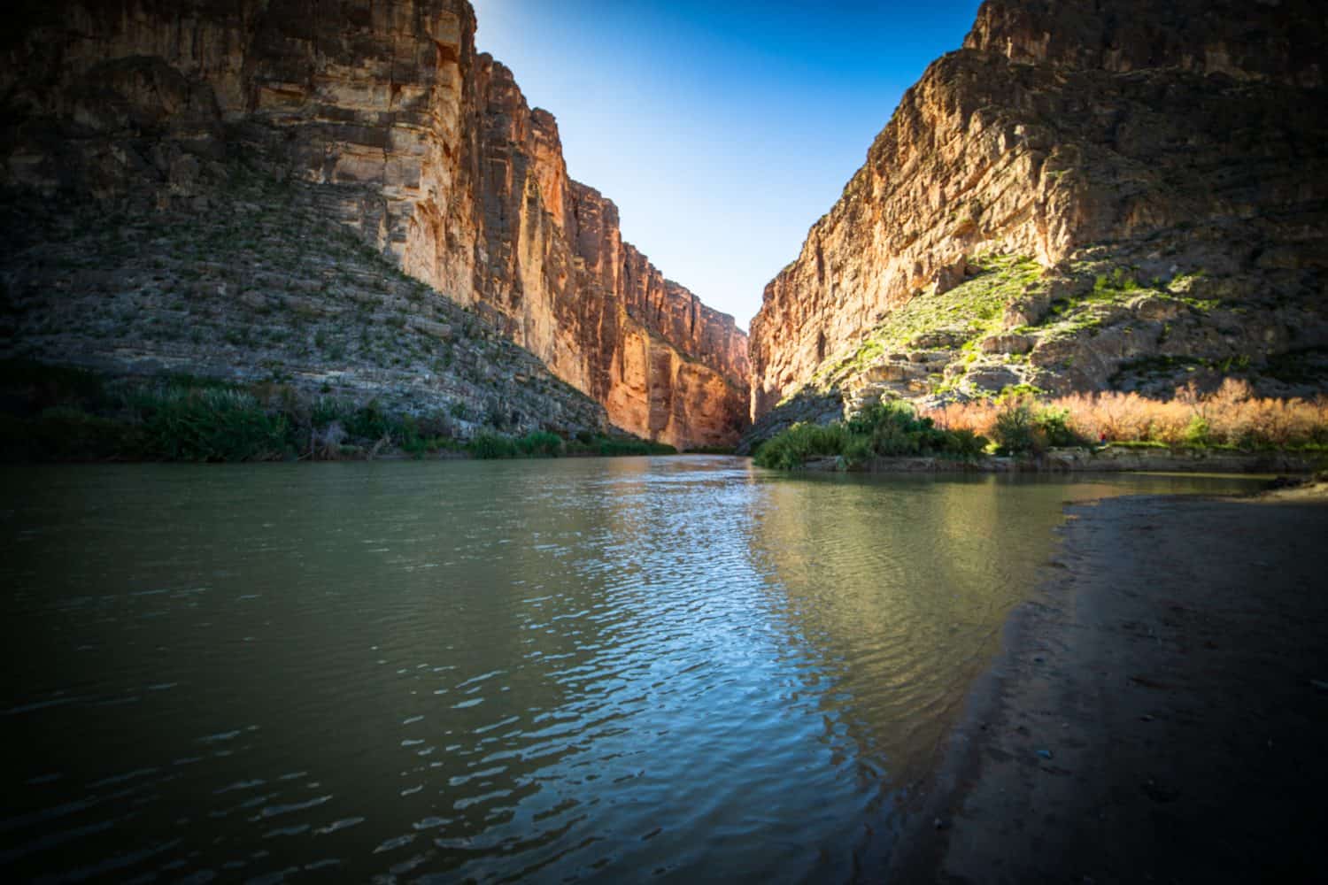 Discover the Resilient Wildlife of the Rio Grande