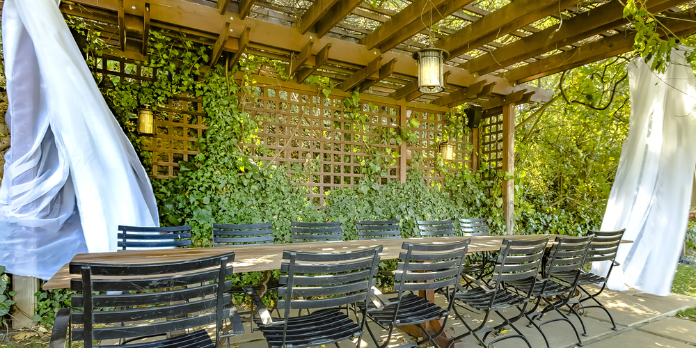 Ideas for backyard privacy on a budget