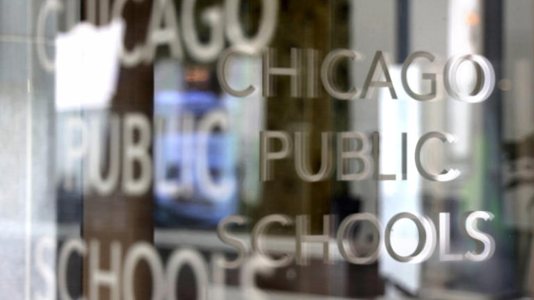 'Horrified': Lawmakers call for CPS accountability after slavery-themed ...