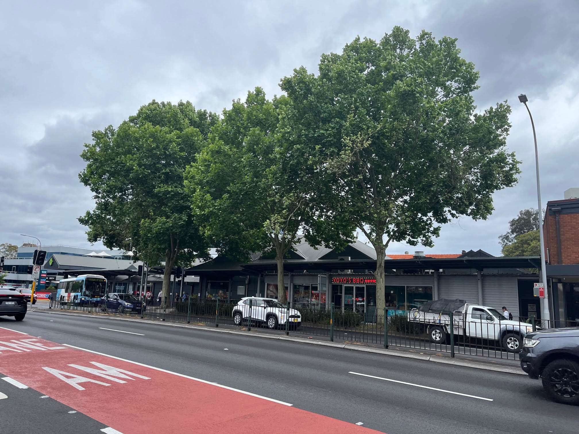 Ritzy Sydney suburb where 'tree pollution' is so bad they have to wear ...