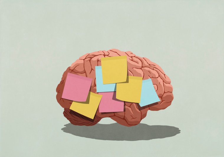 How fast is your brain ageing? Five easy tests to try at home