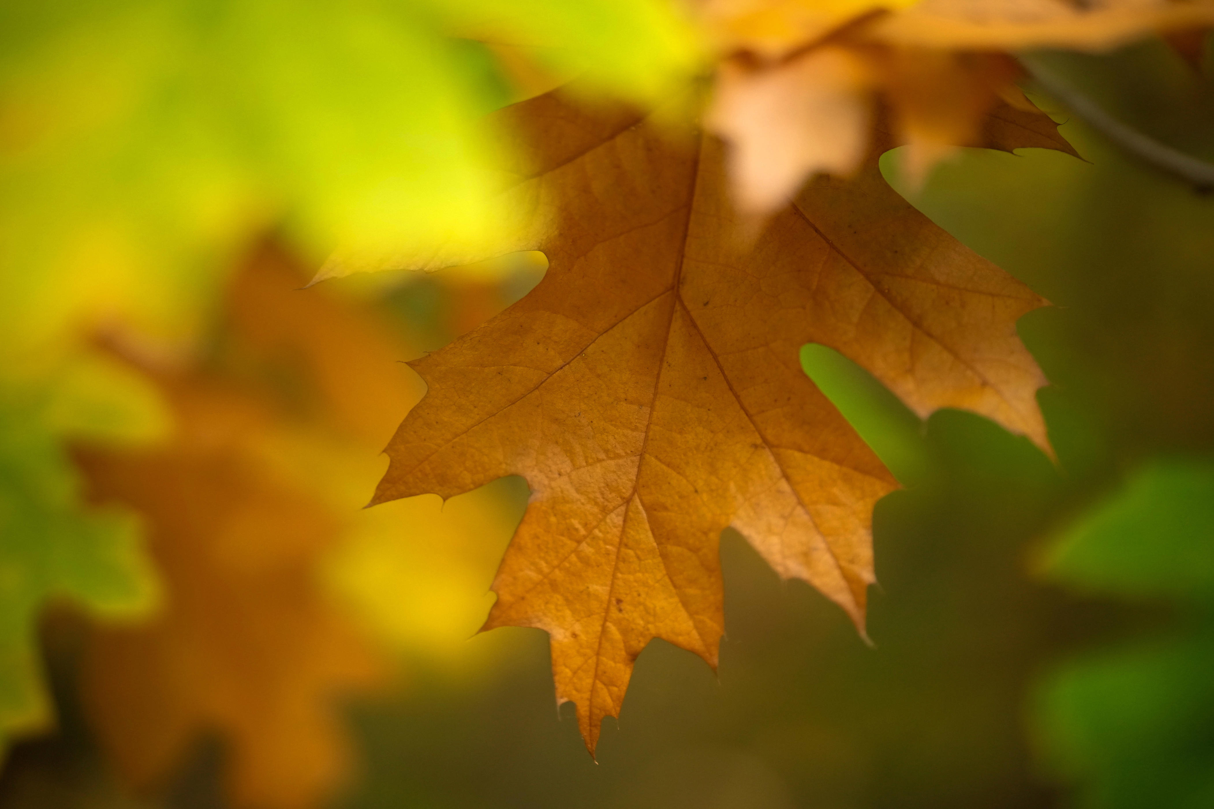 Louisiana residents prepare for cooler temperatures