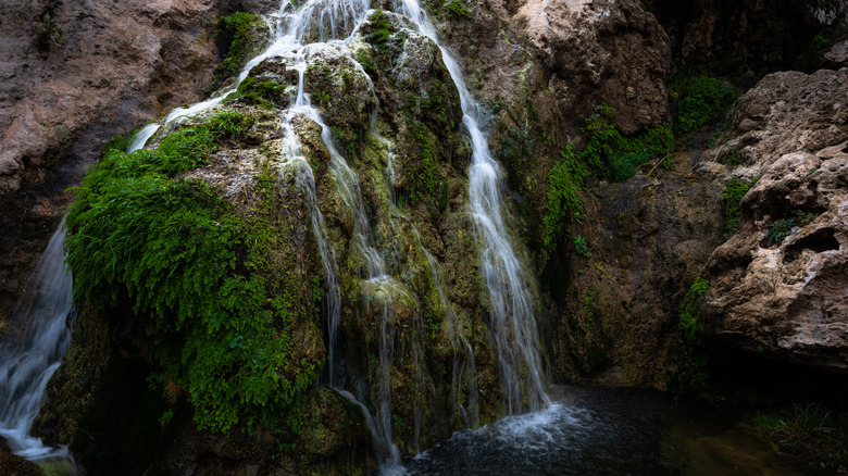 Just West Of Carlsbad Caverns Is A Desert Oasis Preserve With One Of ...