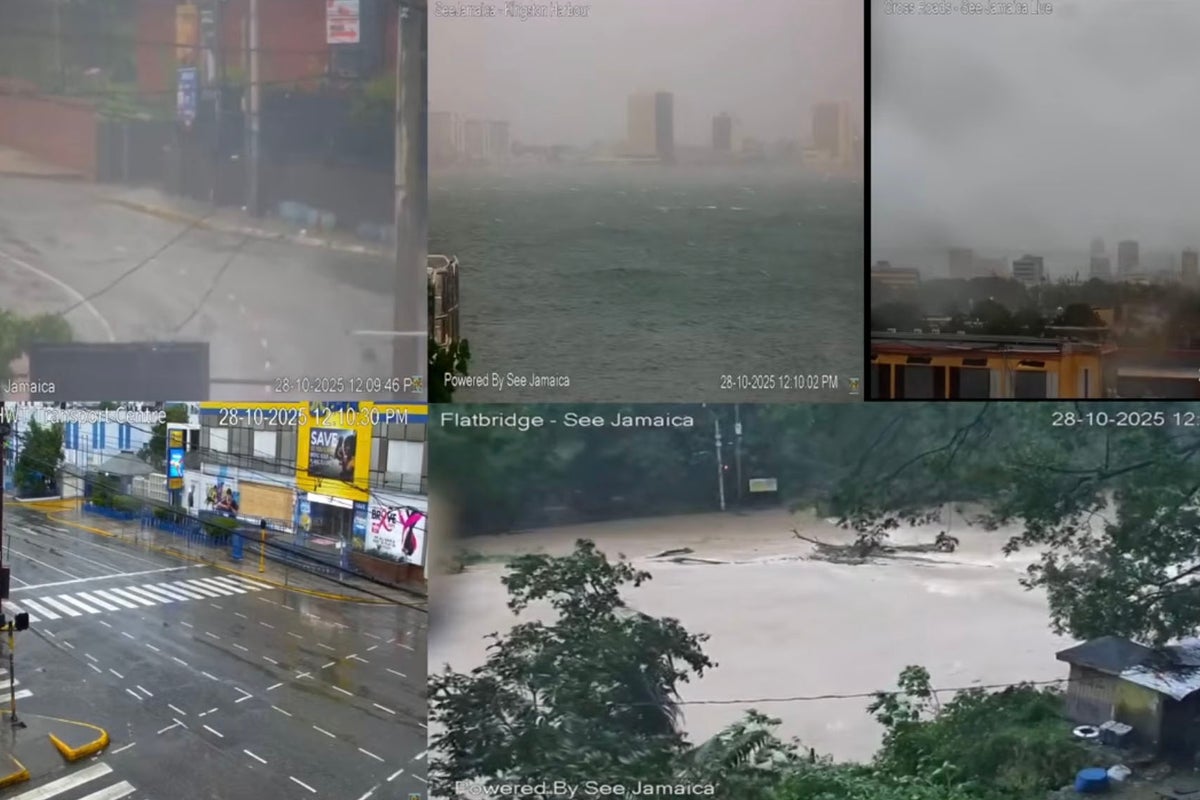 Voices: ‘I now know what a sitting duck feels like’: What it is like to ...