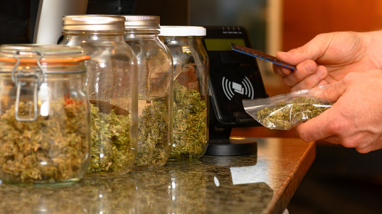 Can You Overdose On Marijuana? Our Doctor Explains
