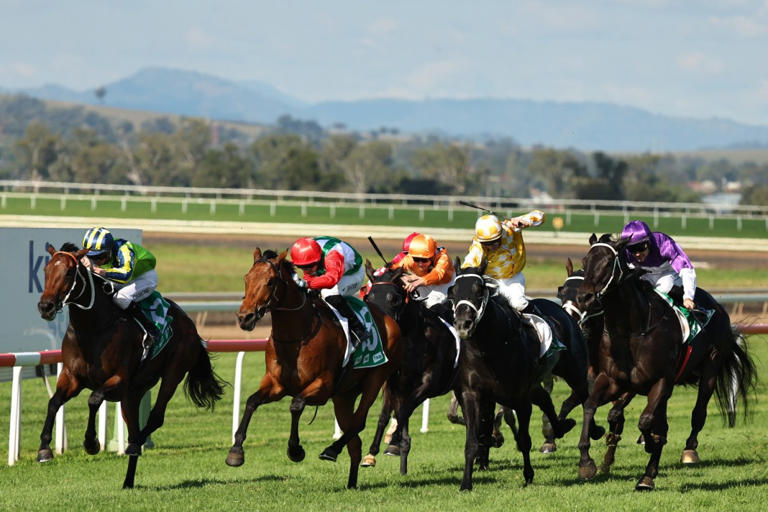 Report Reveals a Grim Picture of Australian Horse Racing