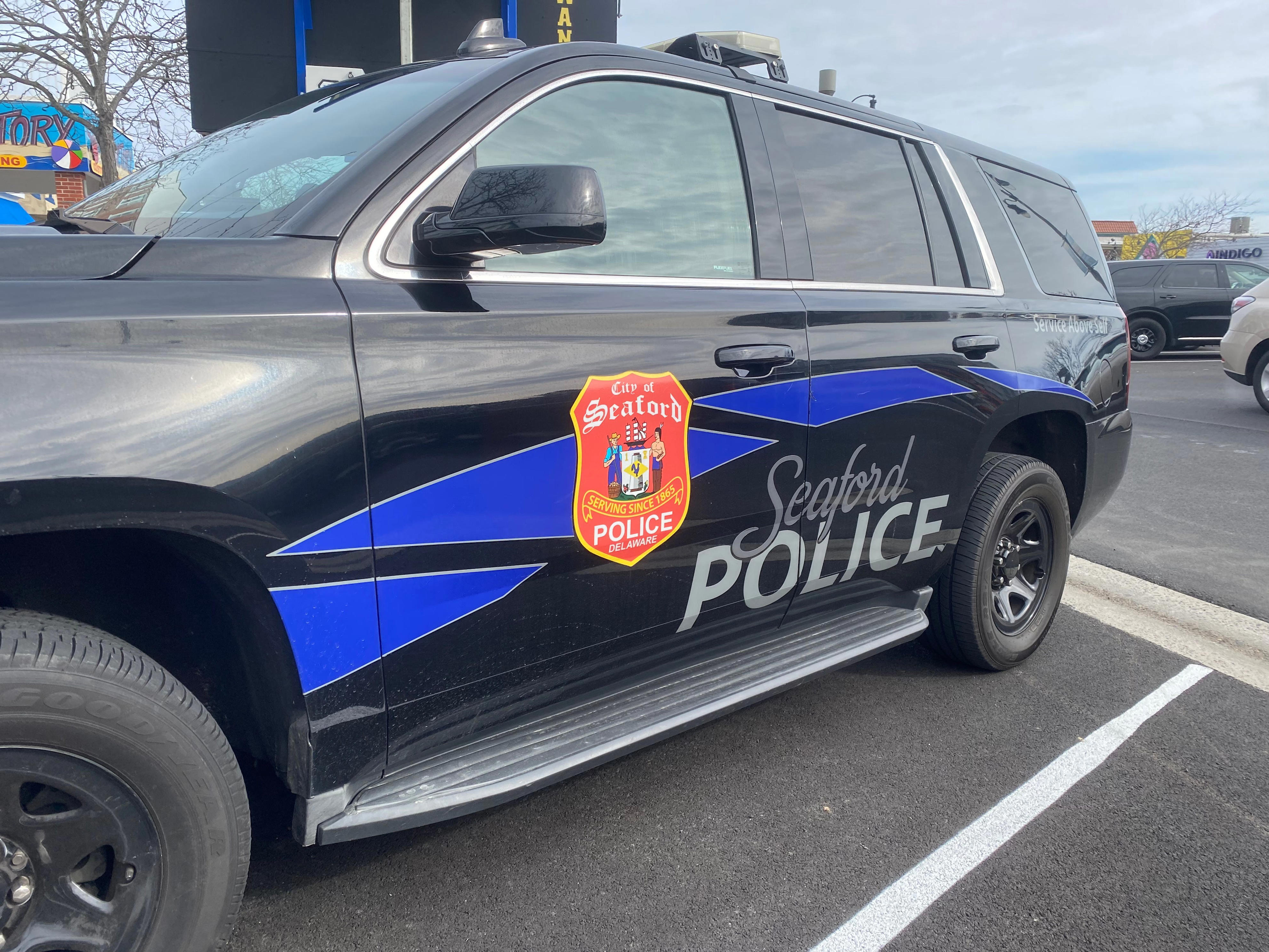 Seaford police ID woman found dead in city pond
