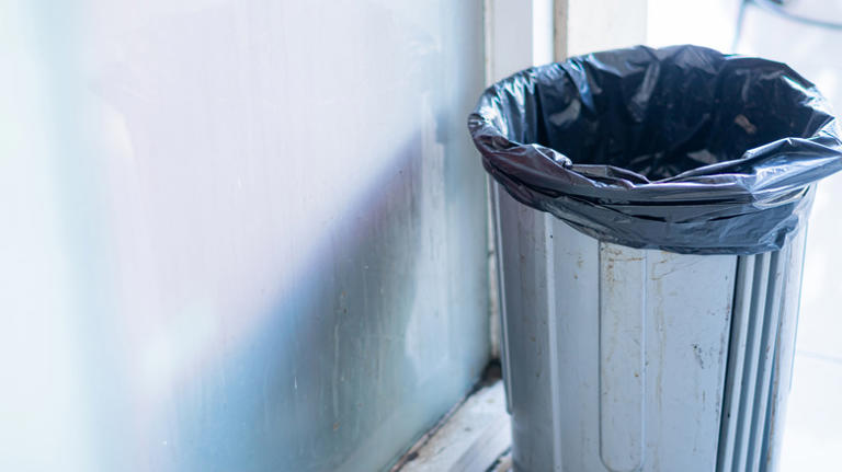 How To Clean A Trash Can Liner (And Leave Your Kitchen Smelling Fresher ...