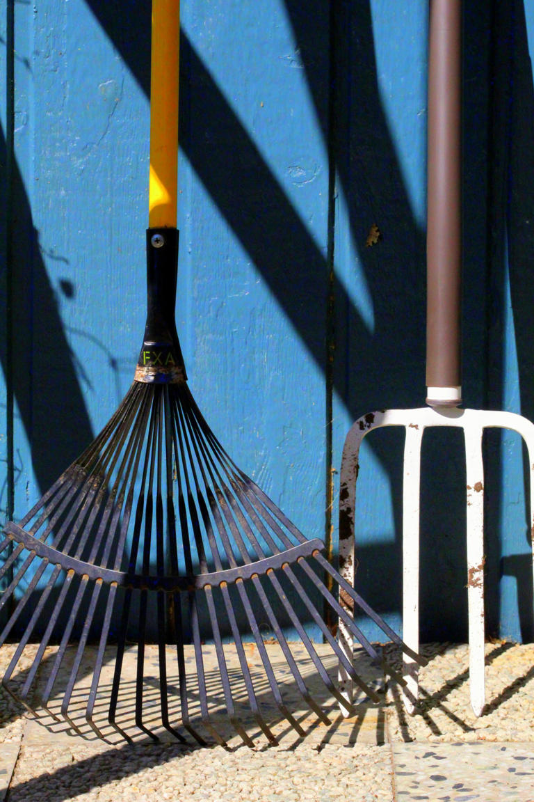 Organize Garden Tools Like a Pro Landscaper