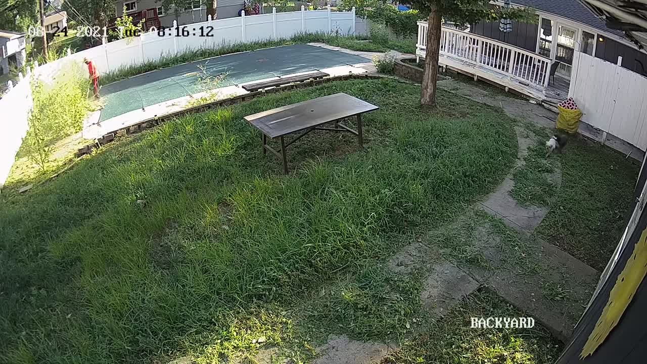Dad Cutting Grass Accidentally Falls into Pool
