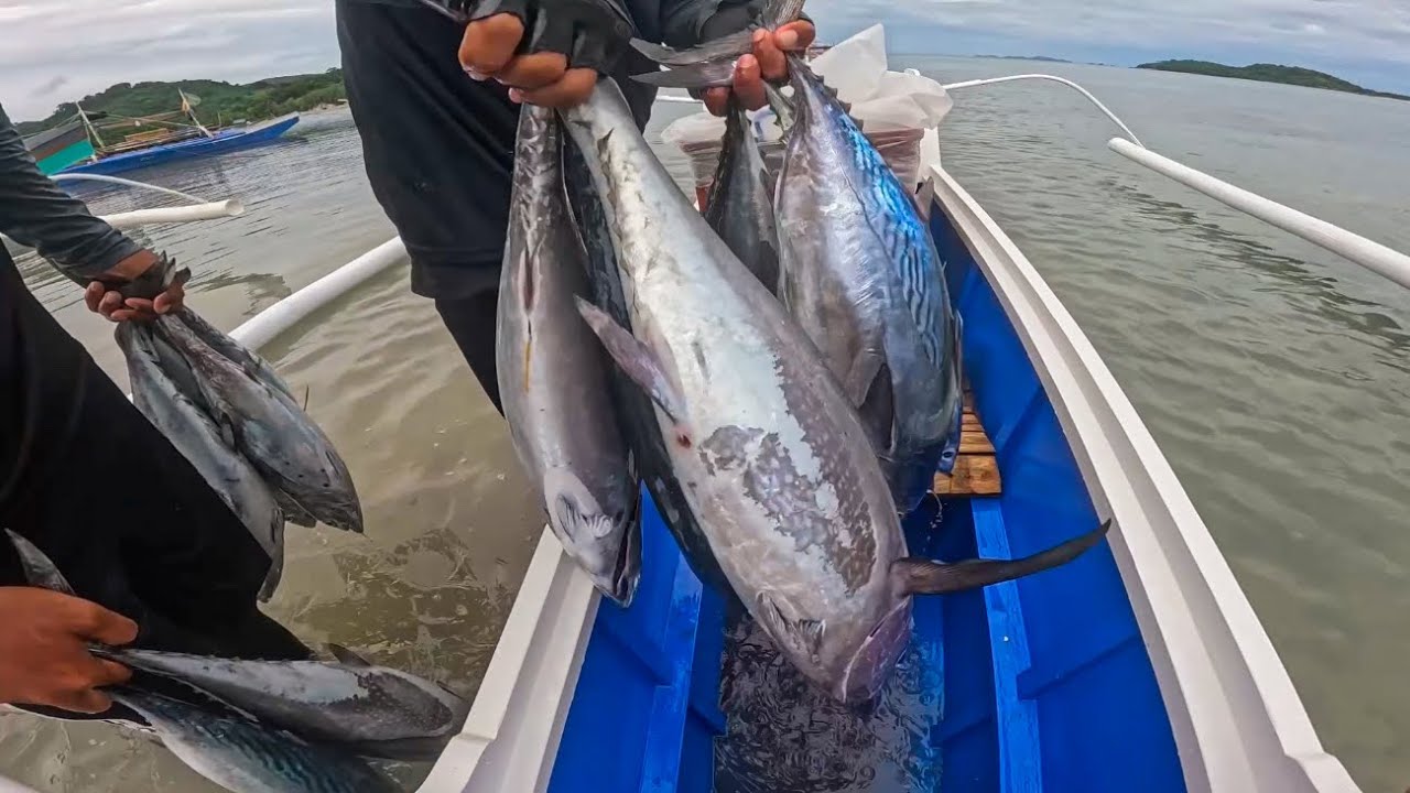 Back to the tuna spot for another big catch!