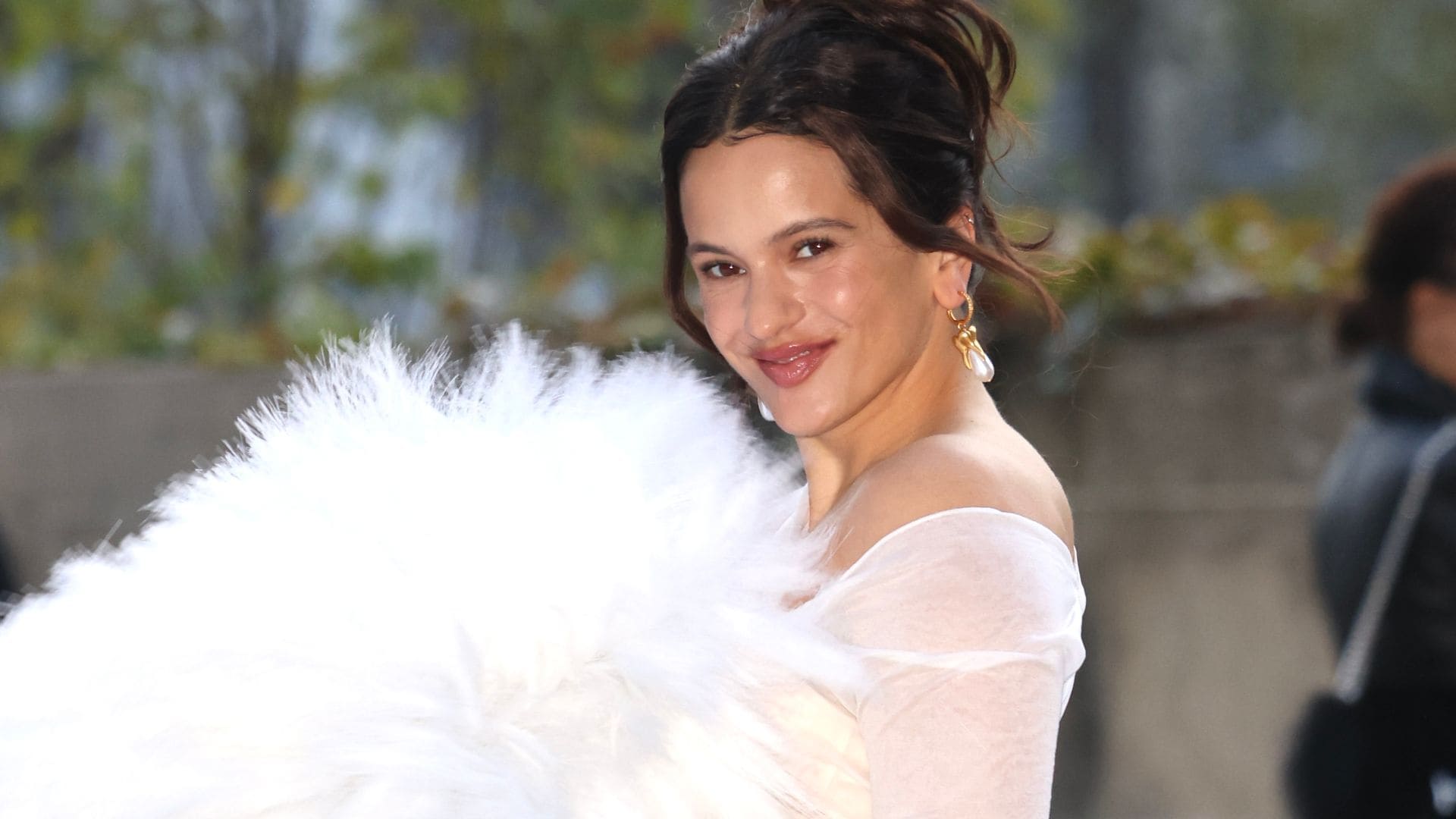 Is Rosalía sending a message to Rauw Alejandro? Birthstone, fox, and ...