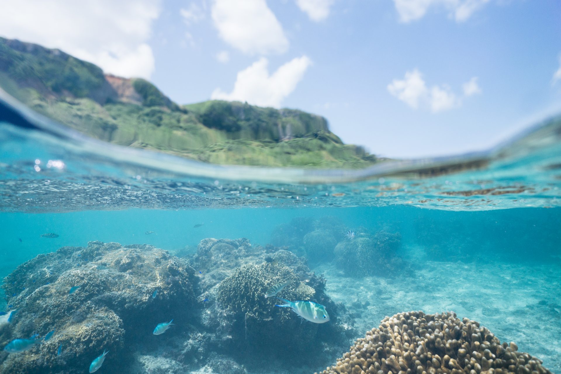Ocean Gaia: die 45 Tonnen schwere Unterwasserskulptur in Japan