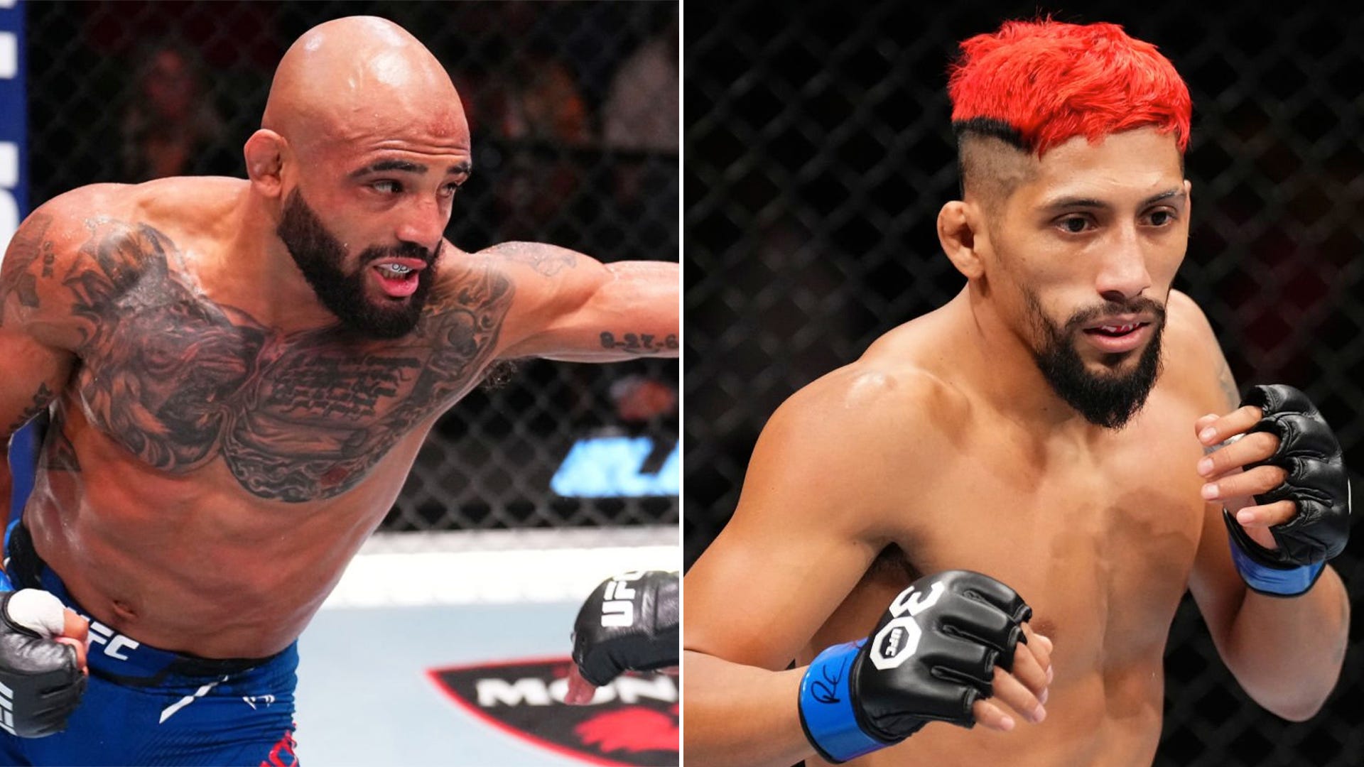 UFC Fight Night 264 injury leads to lineup shuffle at bantamweight