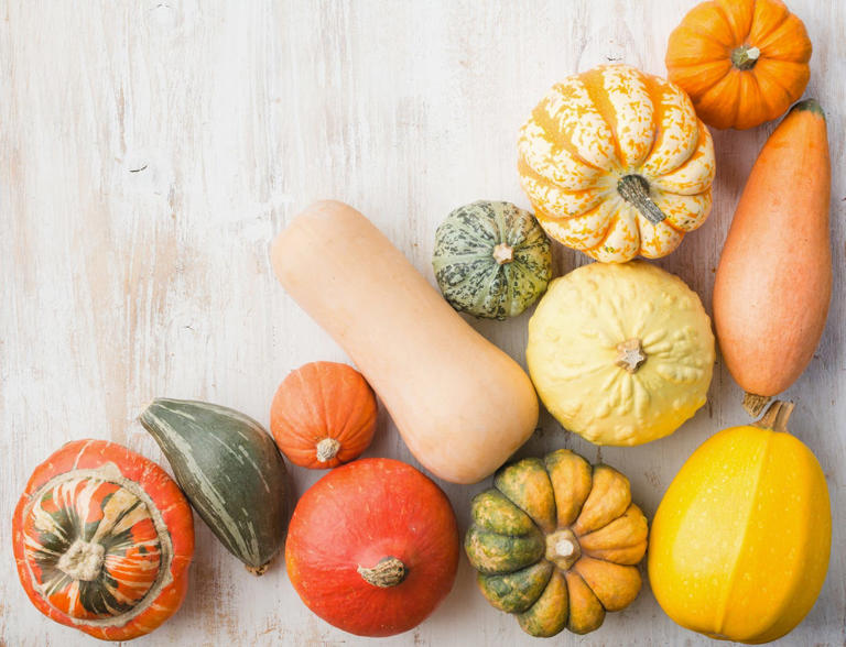 Are Pumpkins Just Squash in Disguise? Here’s the Answer