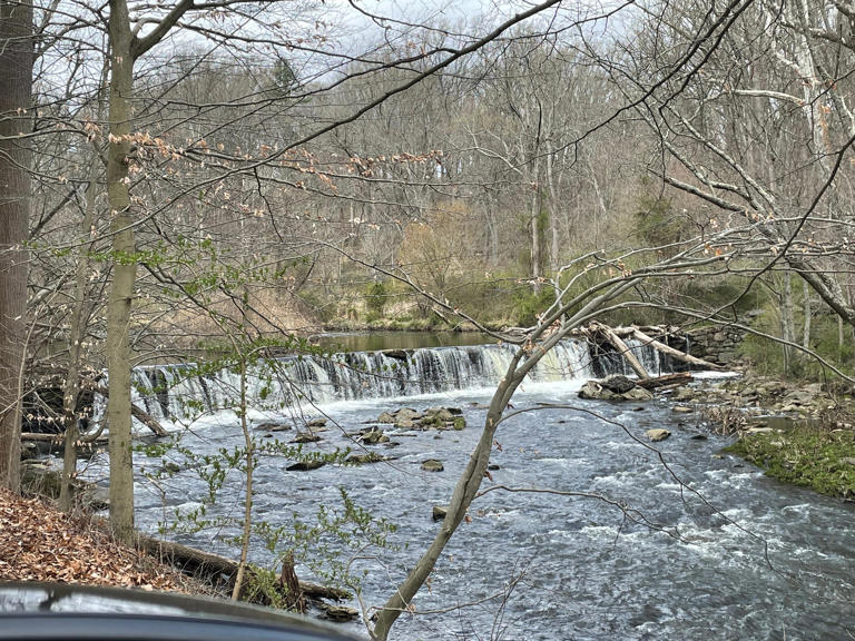 Taylor Swift may not be getting married at a state park, but here's why ...