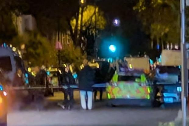 Man in his 20s dies in hospital after stabbing in Hither Green