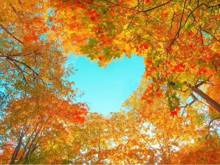 Union Brothers Start GoFundMe For Bridgeview Man Slain In Oswego Chick ...